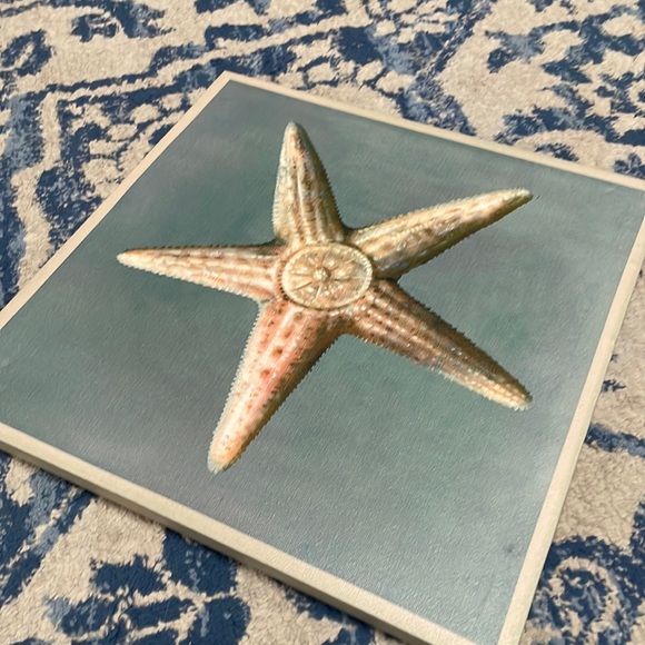Wall Decor | Starfish Canvas Picture | Poshmark